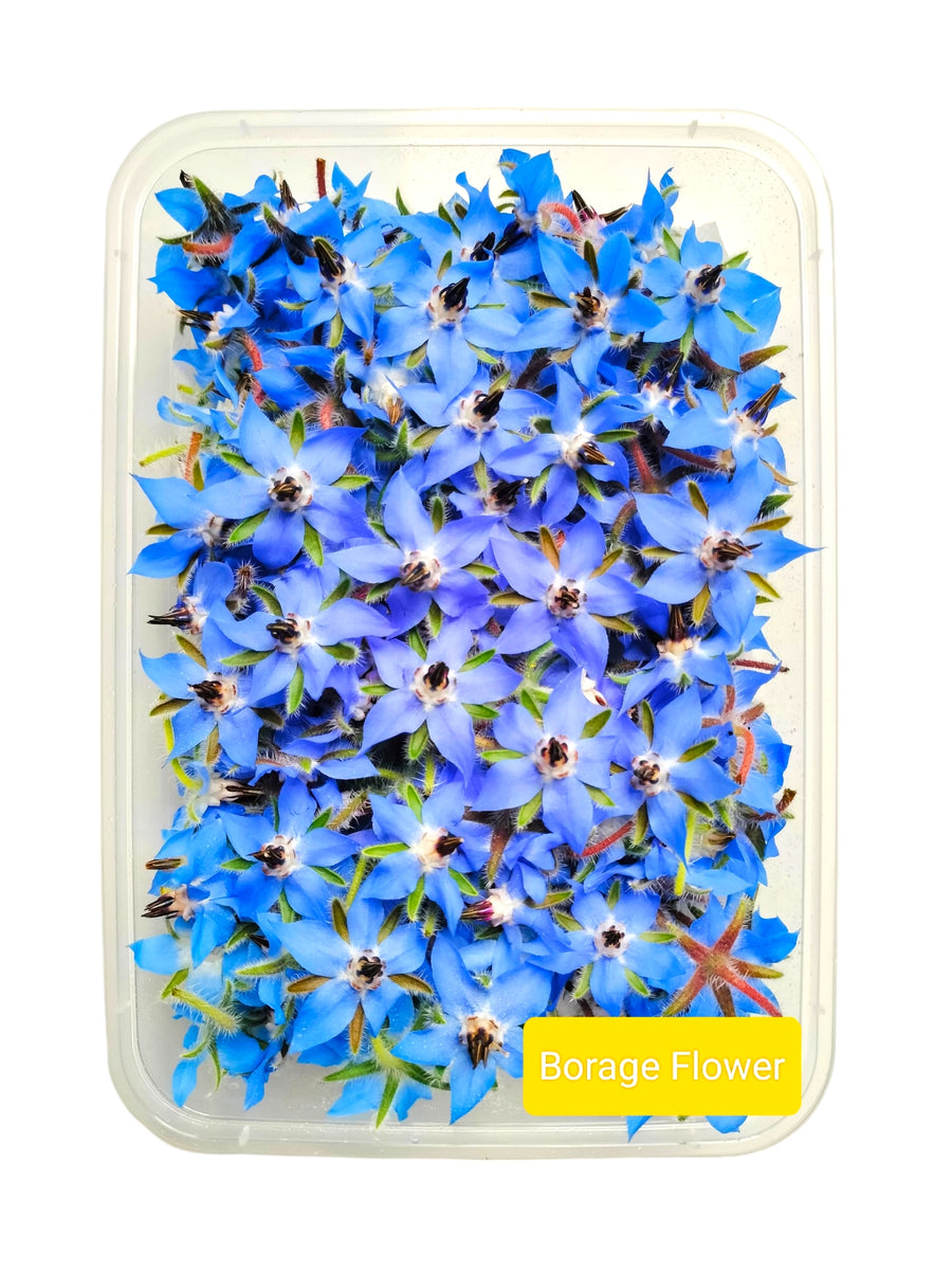 Edible Flowers - Borage 25g – SIN SOO HUP (M) SDN BHD