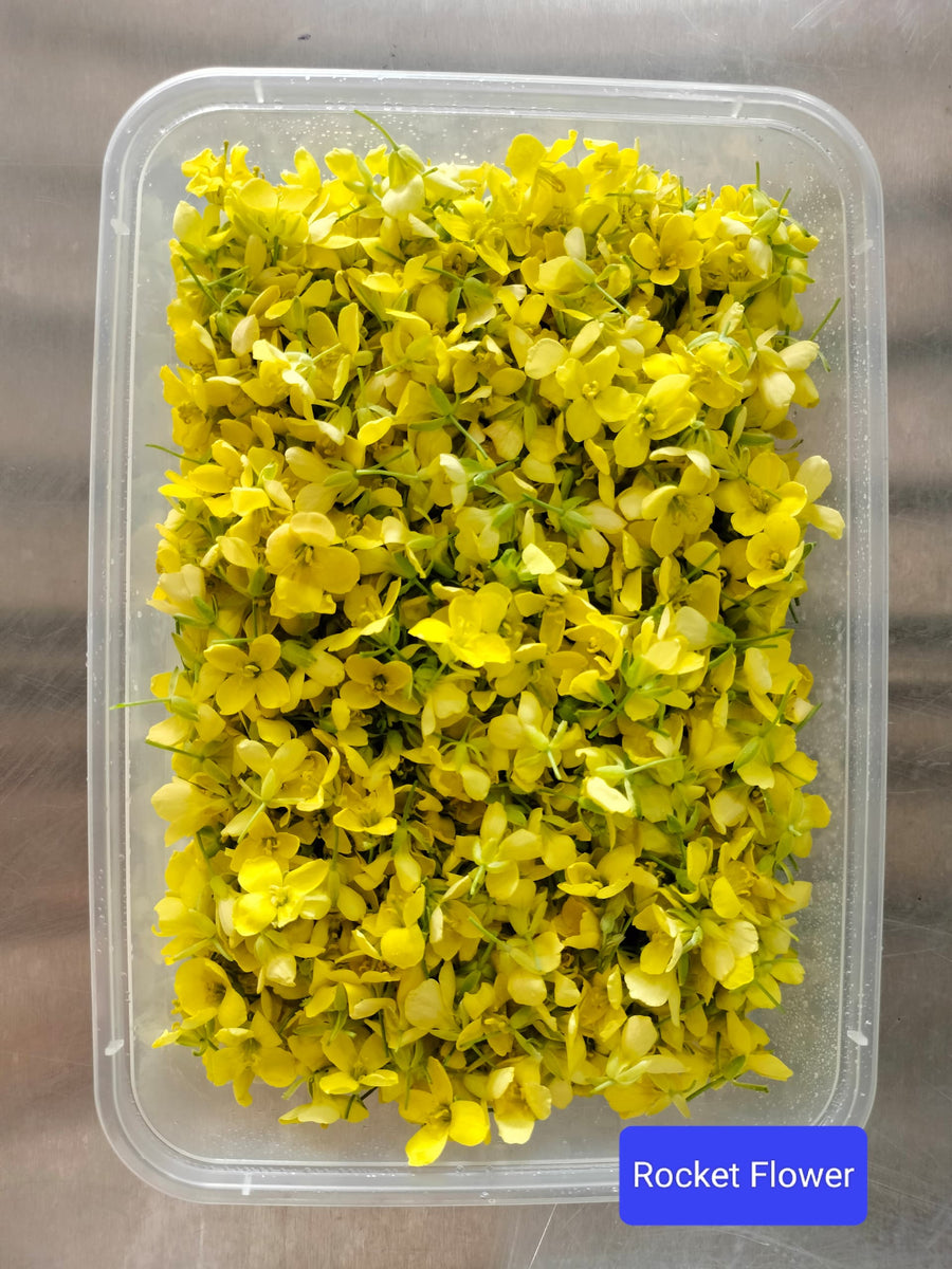 Edible Rocket Flower 10g – SIN SOO HUP (M) SDN BHD