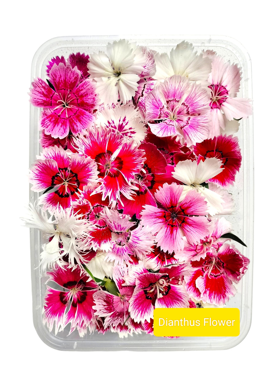 Edible Flowers - Dianthus 25g – SIN SOO HUP (M) SDN BHD