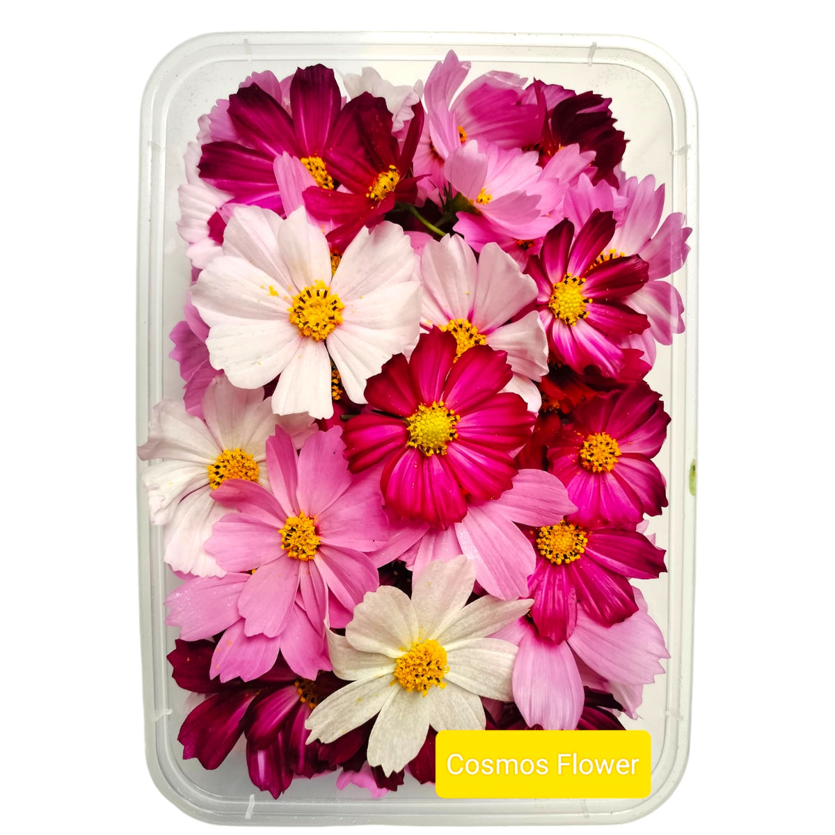 Edible Flowers - Cosmos 50g – SIN SOO HUP (M) SDN BHD