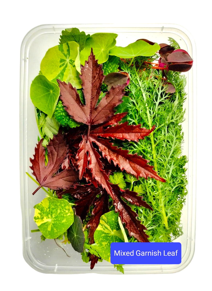 Edible - Mix Garnish Leaf 50g – SIN SOO HUP (M) SDN BHD