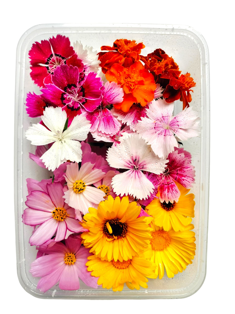 Edible Flowers - Common Mix 50g – SIN SOO HUP (M) SDN BHD