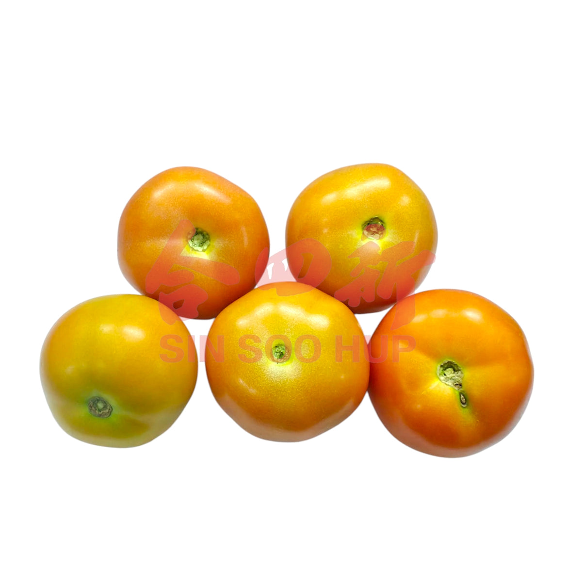 Cameron Grown Tomato - Penang Tomato Supply - Sin Soo Hup – SIN SOO HUP ...