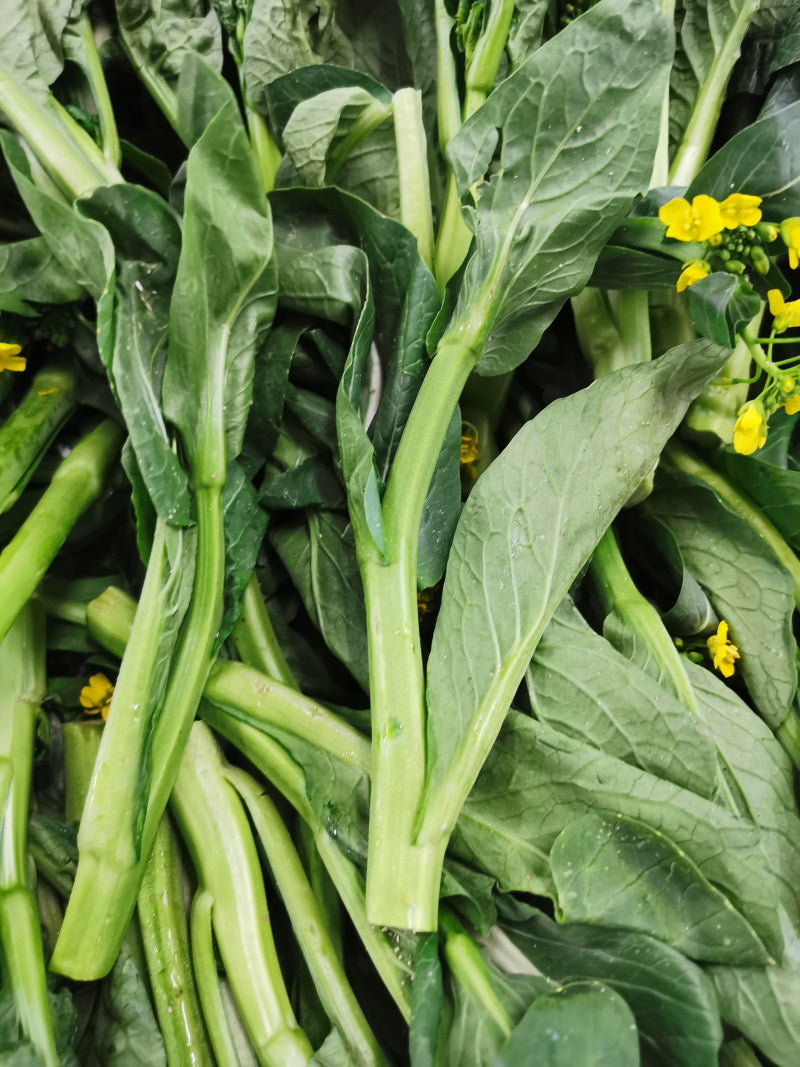 HK Chye Sim – SIN SOO HUP (M) SDN BHD