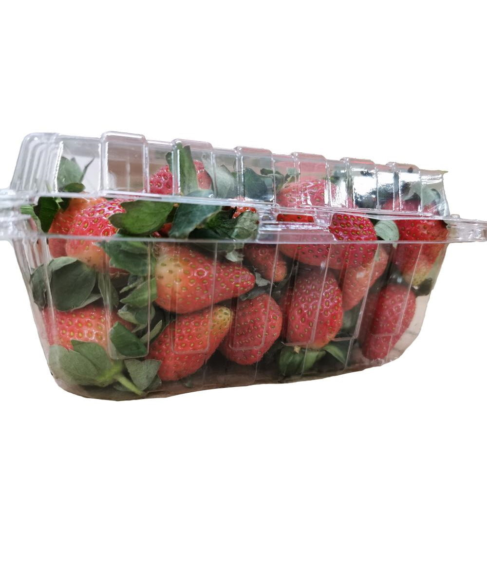 Cameron Strawberry - Penang Sin Soo Hup Fruit Supply – SIN SOO HUP (M ...